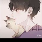 MVPapp2025最新版本免费下载官方正版软件-应用宝官网